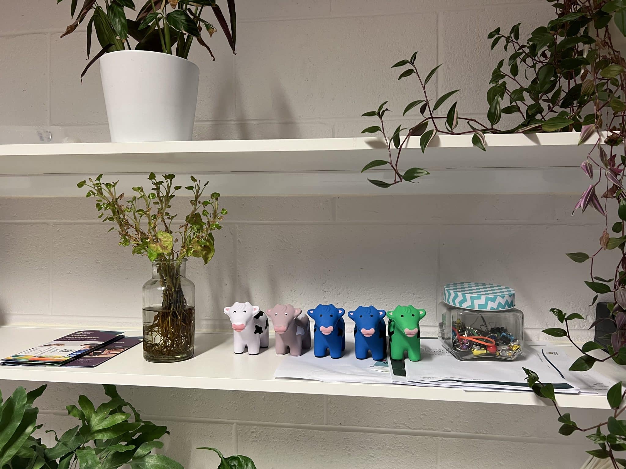 Adoption of HDi 75" Flex Screens at Southern Support School, Tasmania ...